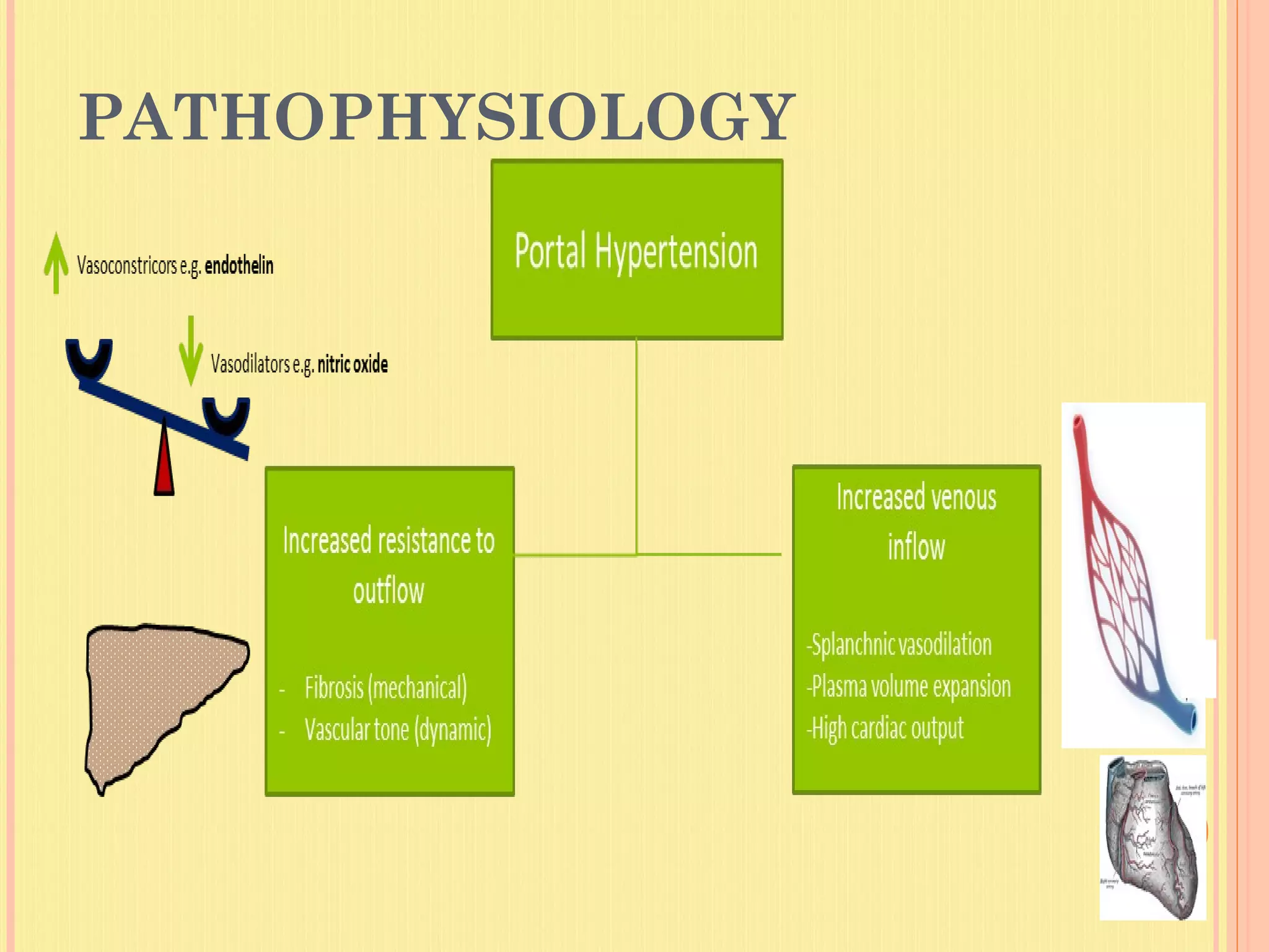 Portal hypertension, liver cirrhosis and liver transplant | PPT