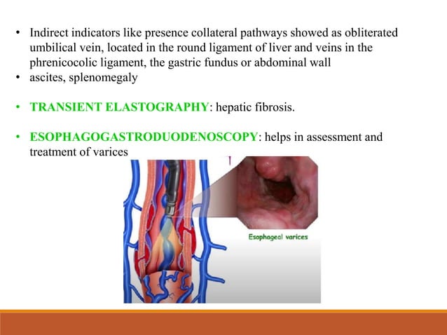 PORTAL HTN spleno renal shunt.ppt | Digestive Disorders | Diseases and ...