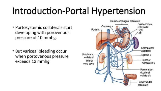 Portal HTN and stigmata of liver diseases.pptx