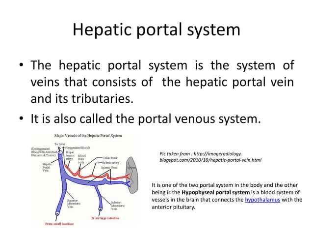 Understanding Portal hypertension | PPTX | Heart and Cardiovascular ...