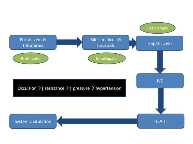Understanding Portal hypertension | PPTX | Heart and Cardiovascular ...