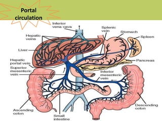 Portal hypertension | PPTX