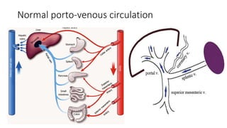 Portal Hypertension.pptx