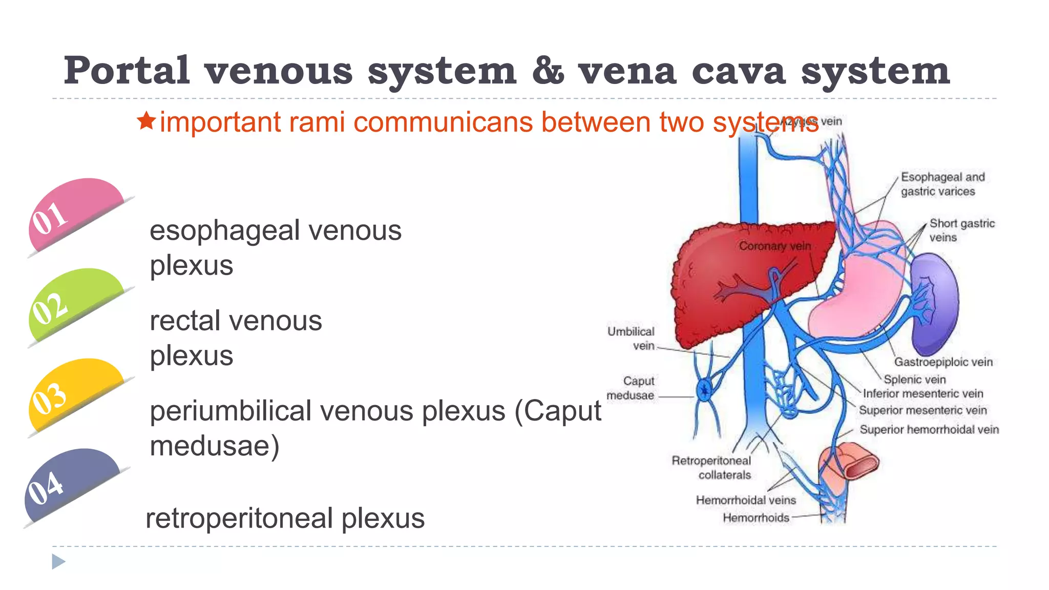 Portal Hypertension.ppt