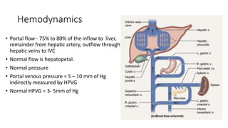 Portal hypertension | PPTX