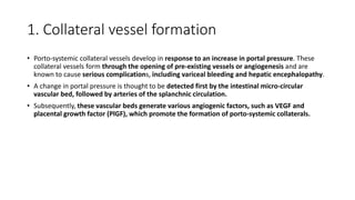PORTAL HYPERTENSION | PPTX