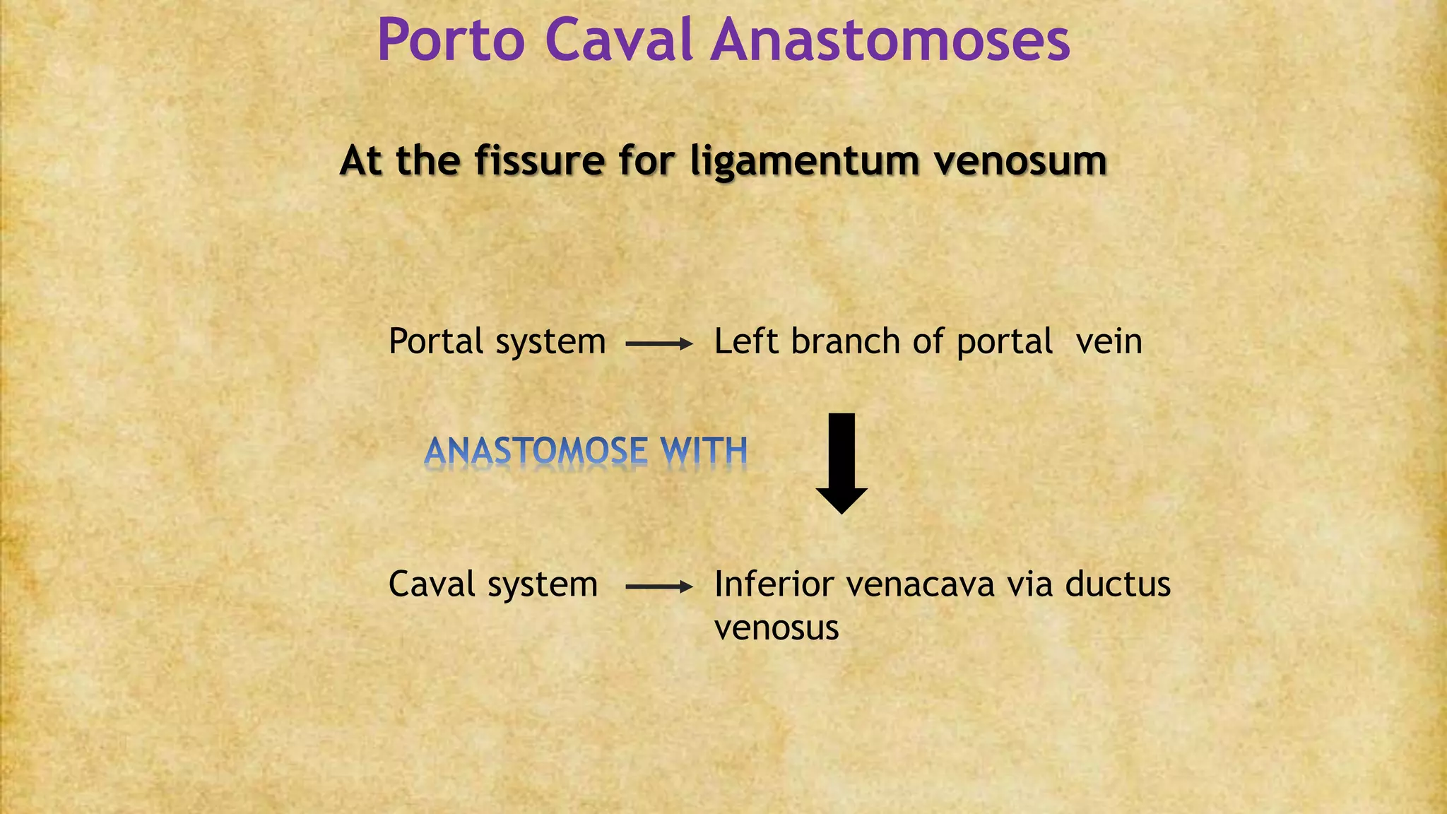 Portal Hypertension in Children | PPTX