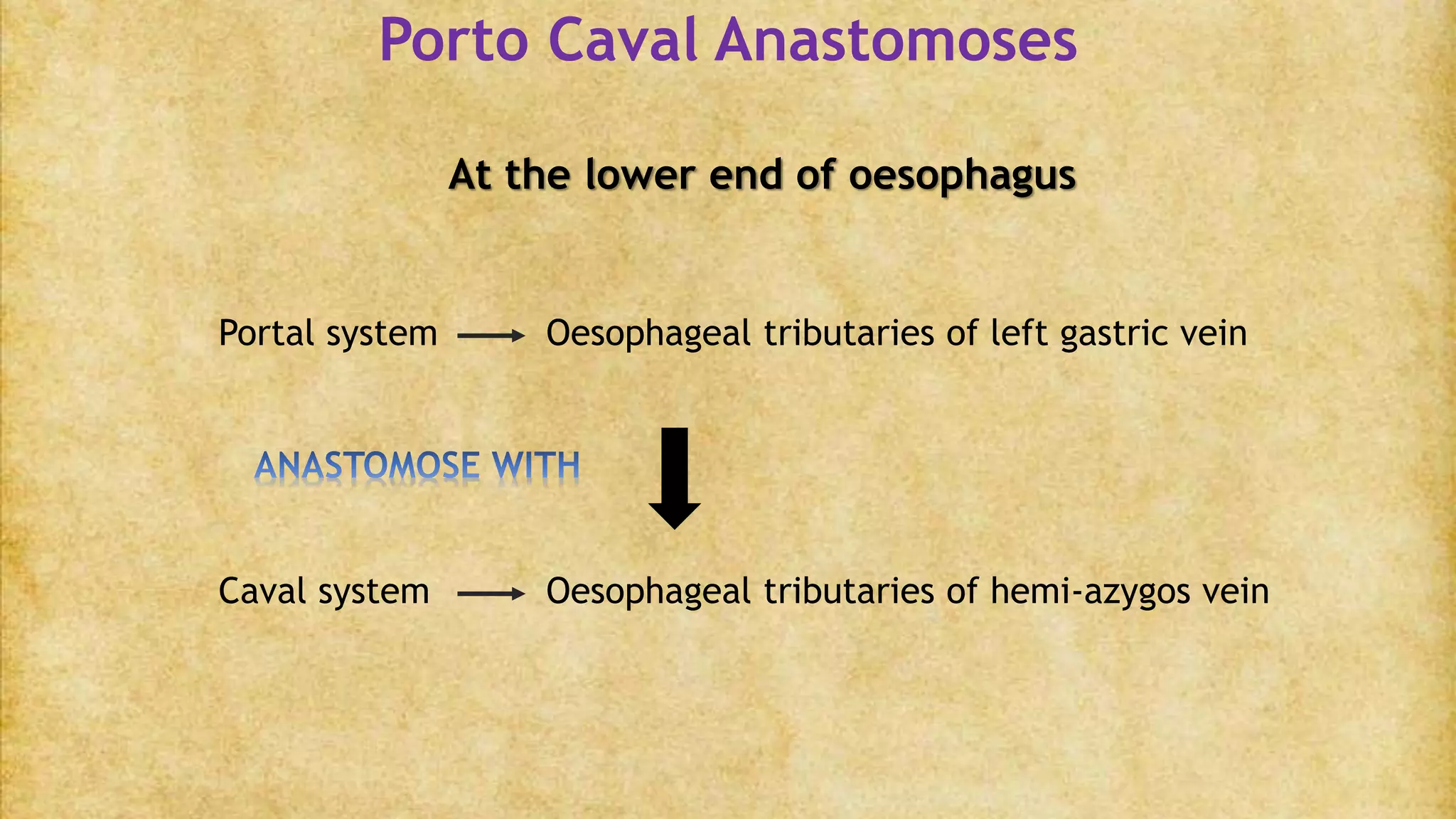 Portal Hypertension in Children | PPTX