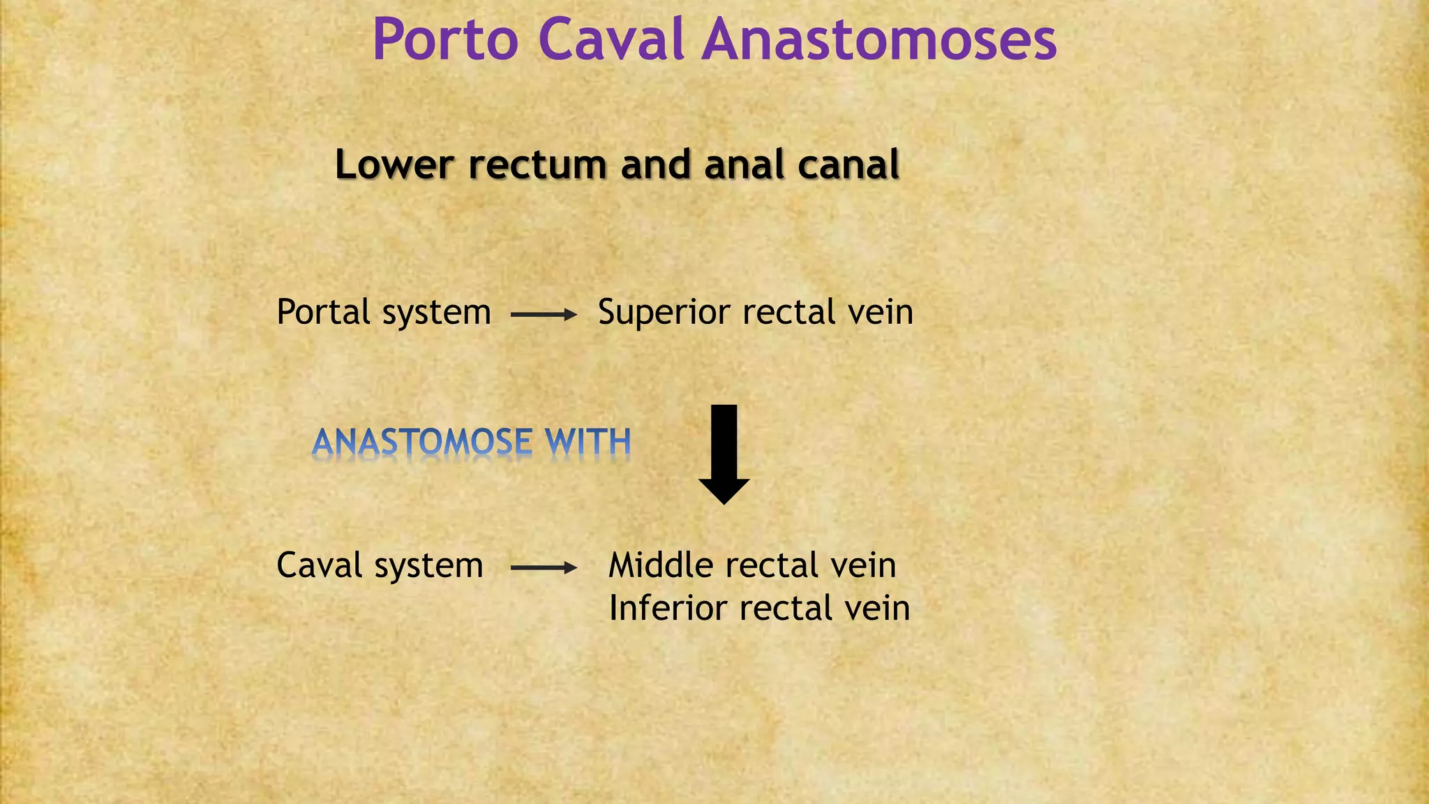 Portal Hypertension in Children | PPTX