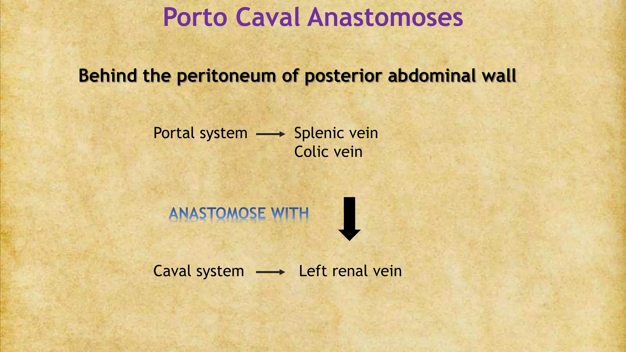 Portal Hypertension in Children | PPTX