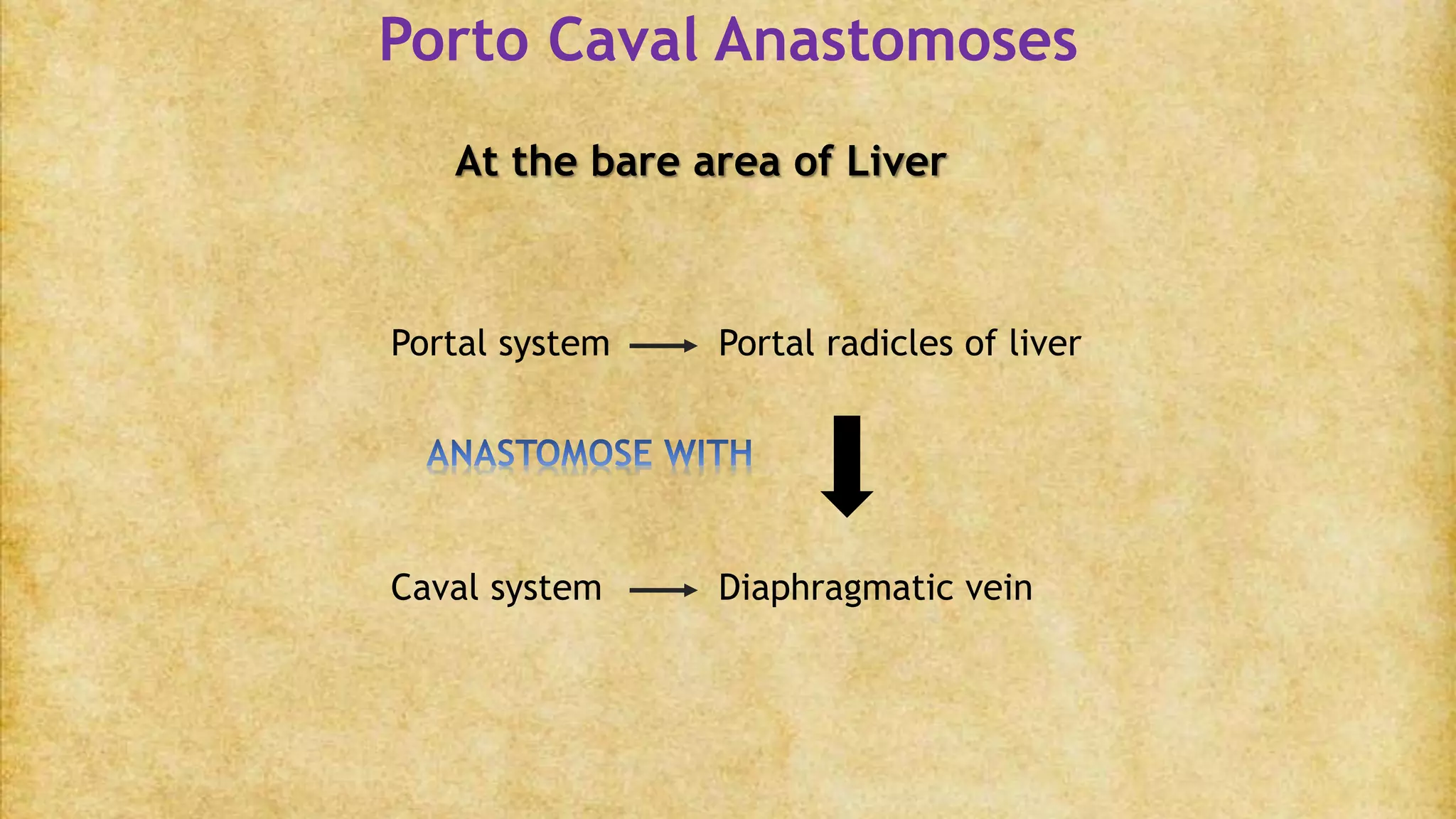 Portal Hypertension in Children | PPTX