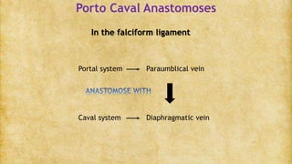 Portal Hypertension in Children | PPTX