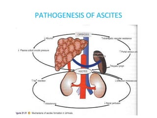Portal hypertension, hepatic failure | PPT