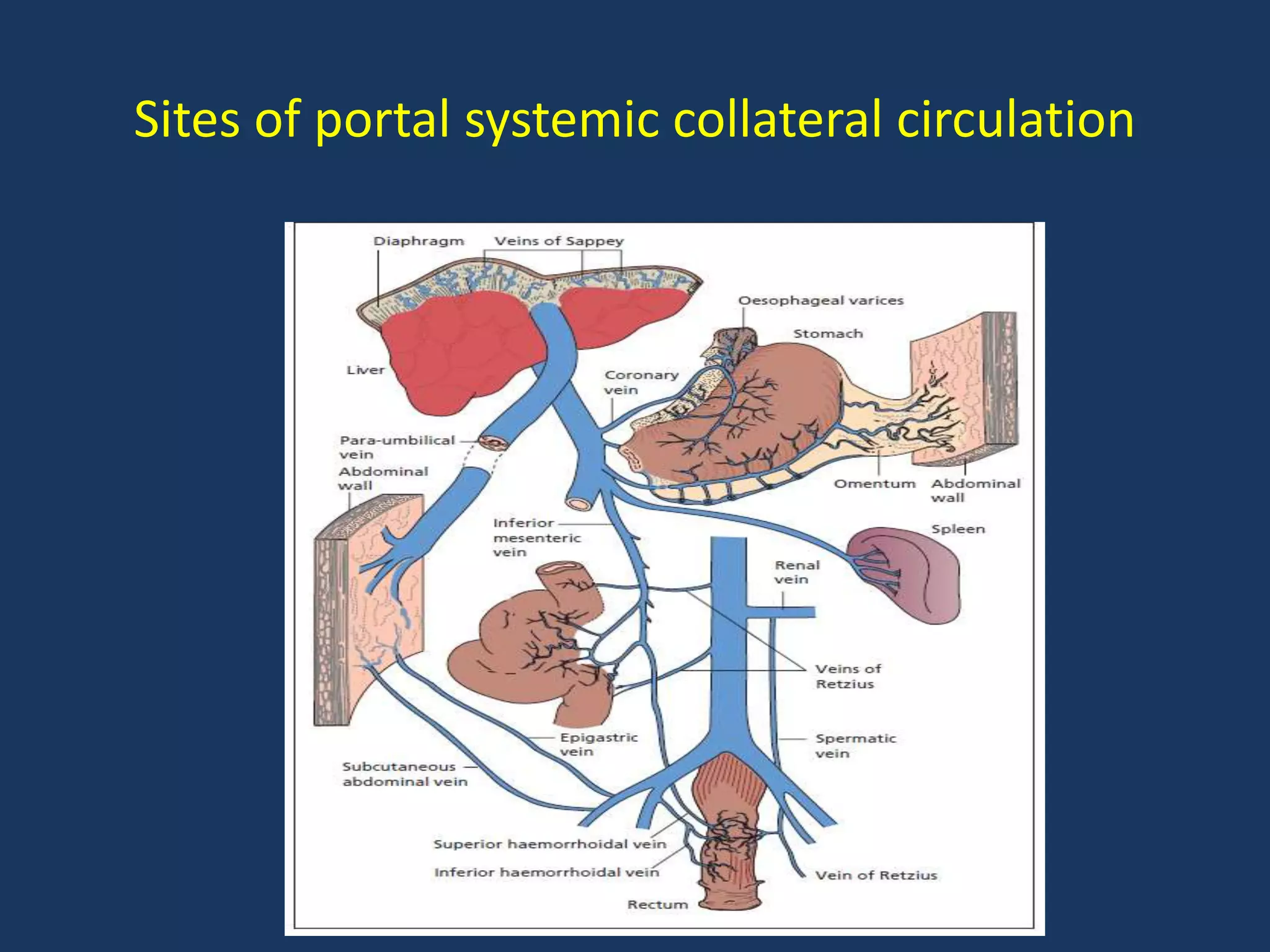 Portal hypertension in paediatrics | PPTX