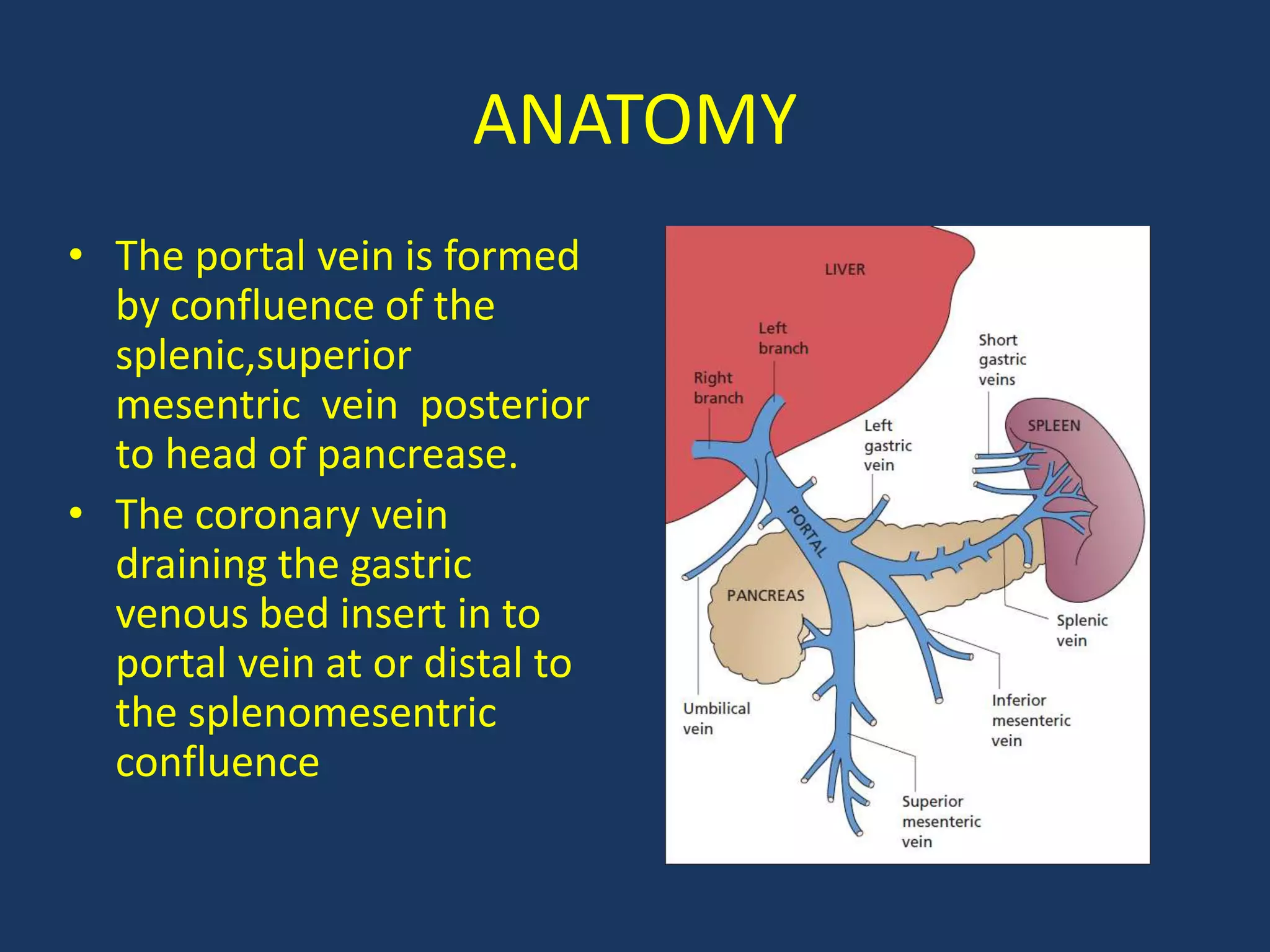 Portal hypertension in paediatrics | PPTX