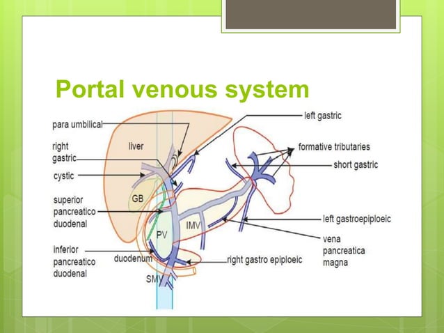Portal hypertension by kiran maindale | PPT