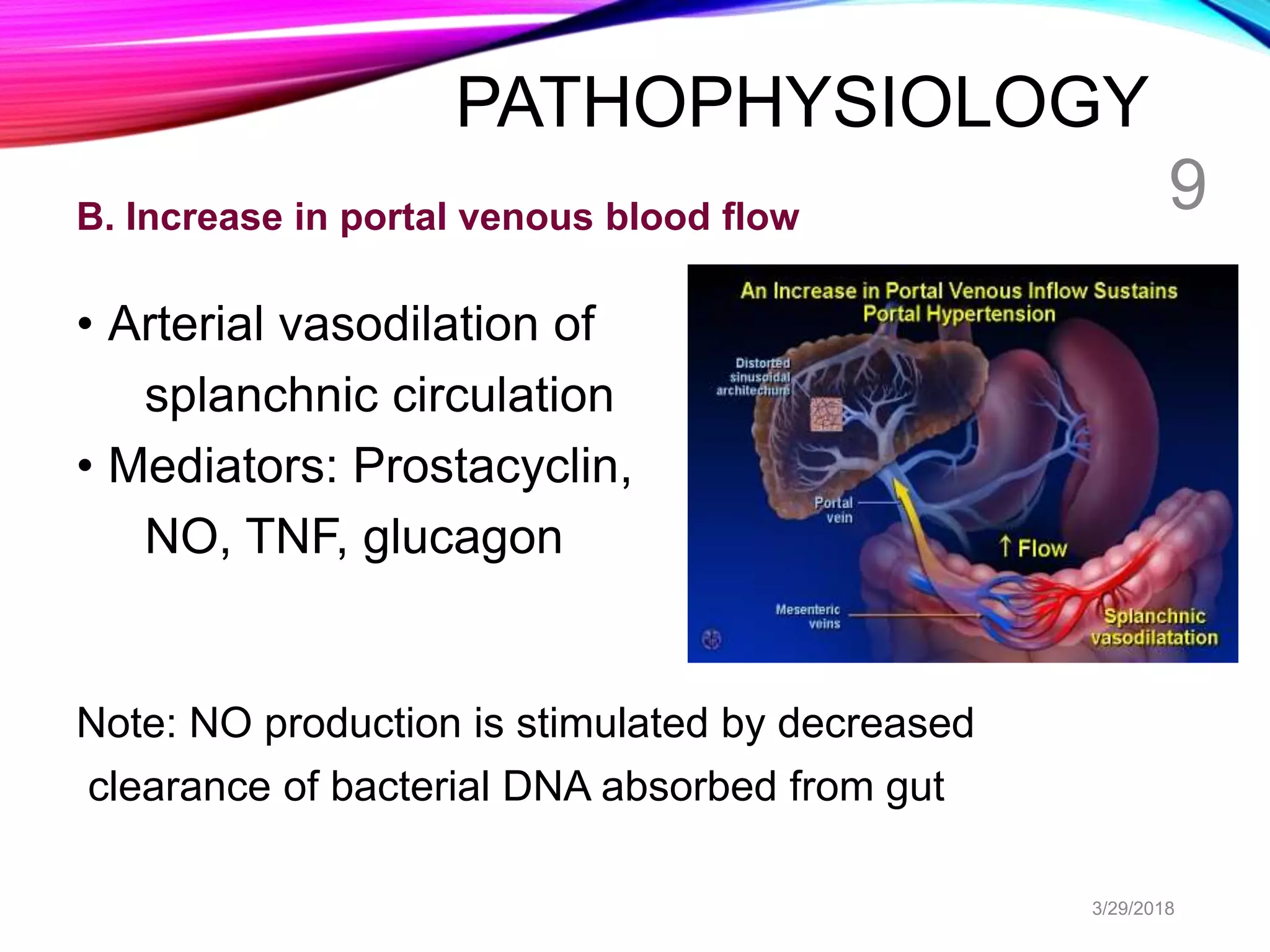 Portal Hypertension Mechanisms Pathophysiology by Dr. Aryan | PPTX