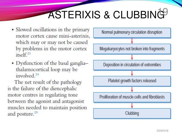 Portal Hypertension Mechanisms Pathophysiology by Dr. Aryan