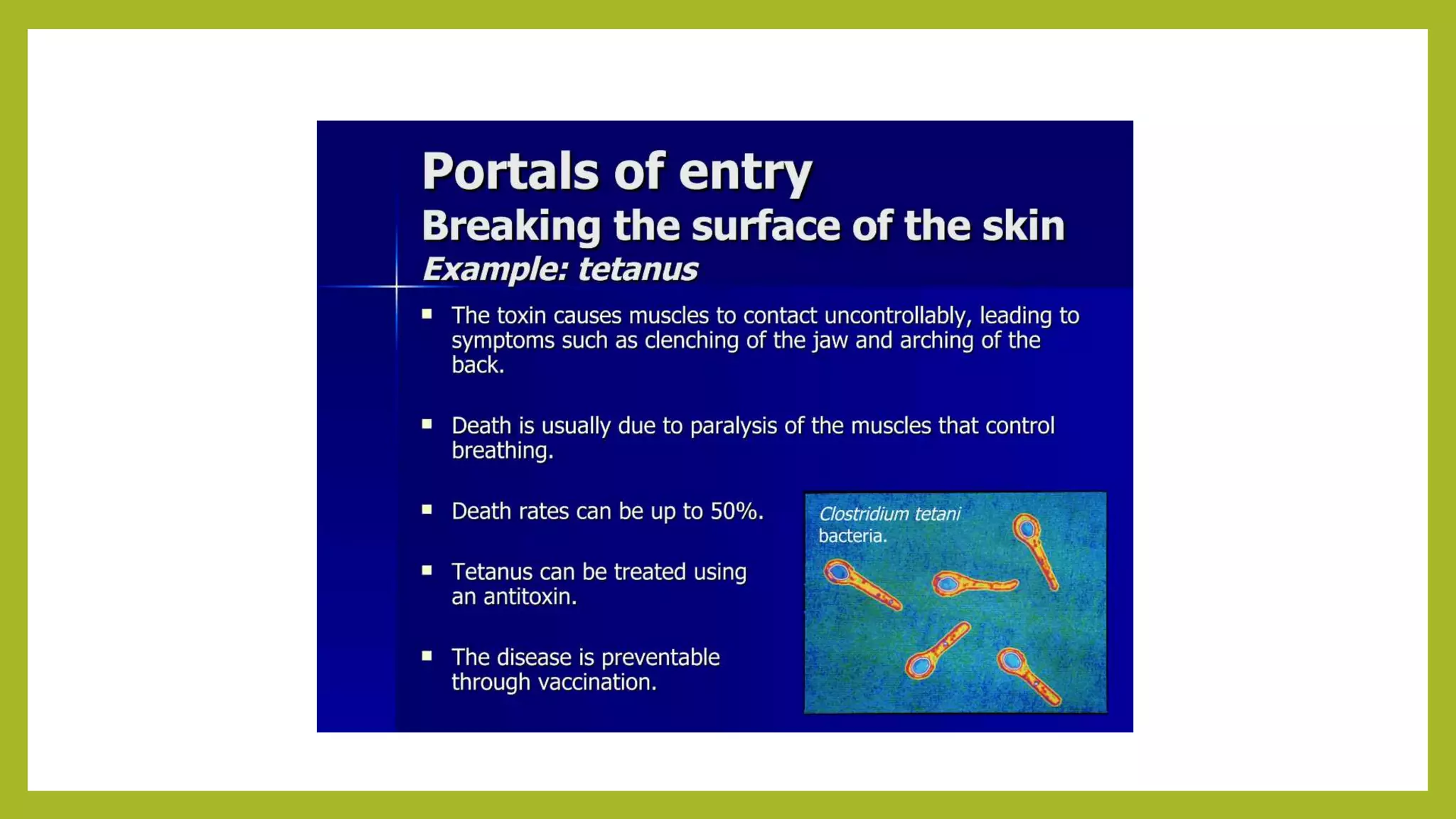 Portals of entry to human body.pptx