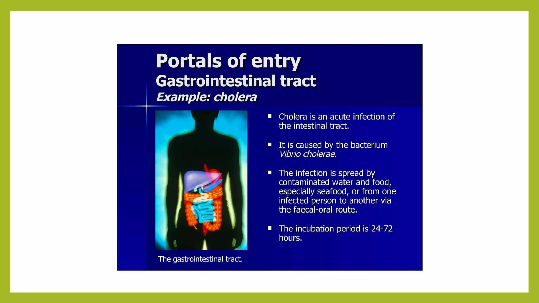 Portals of entry to human body.pptx