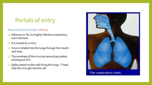 Portals of entry to human body.pptx