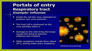 Portals of entry to human body.pptx