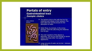 Portals of entry to human body.pptx