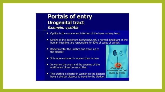Portals of entry to human body.pptx