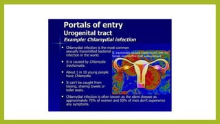 Portals of entry to human body.pptx
