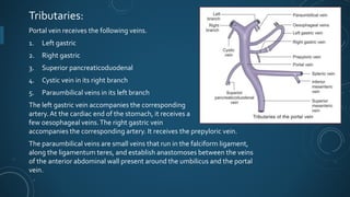 Portal vein.pptx