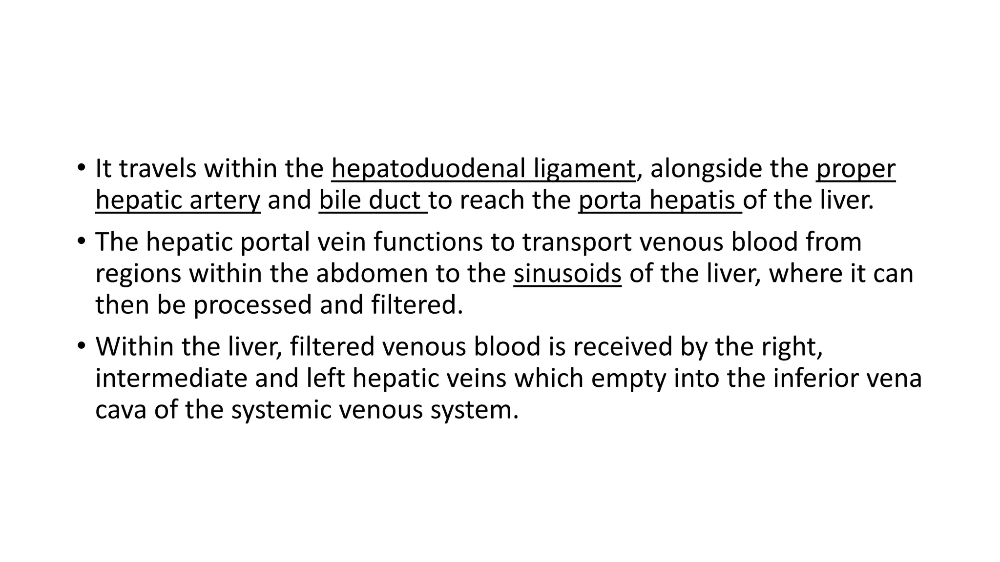 portal vein.pptx