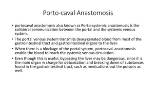 portal vein.pptx