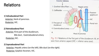 PORTAL VEIN.pptx Anatomy and Portal Hypertension | PPTX