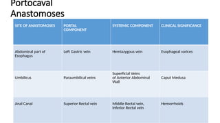 PORTAL VEIN.pptx Anatomy and Portal Hypertension | PPTX