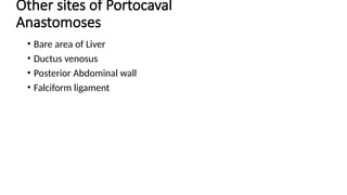 PORTAL VEIN.pptx Anatomy and Portal Hypertension | PPTX