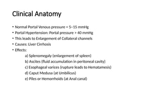 PORTAL VEIN.pptx Anatomy and Portal Hypertension | PPTX