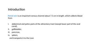 PORTAL VEIN.pptx Anatomy and Portal Hypertension | PPTX