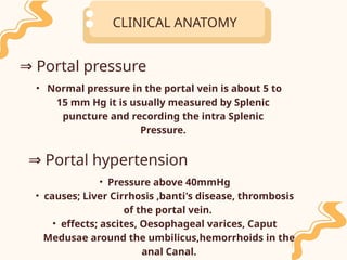 Portal vein.pptx_20241127_140050_00.pptx