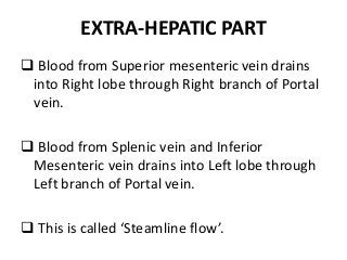 Portal vein and porta caval anastomoses.pptx