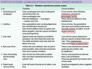portalvein-portocavalanastomosis | PPT