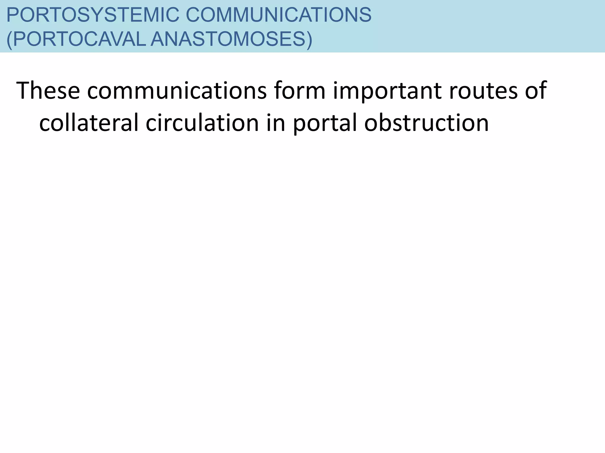 Portal vein & portocaval anastomosis | PPTX