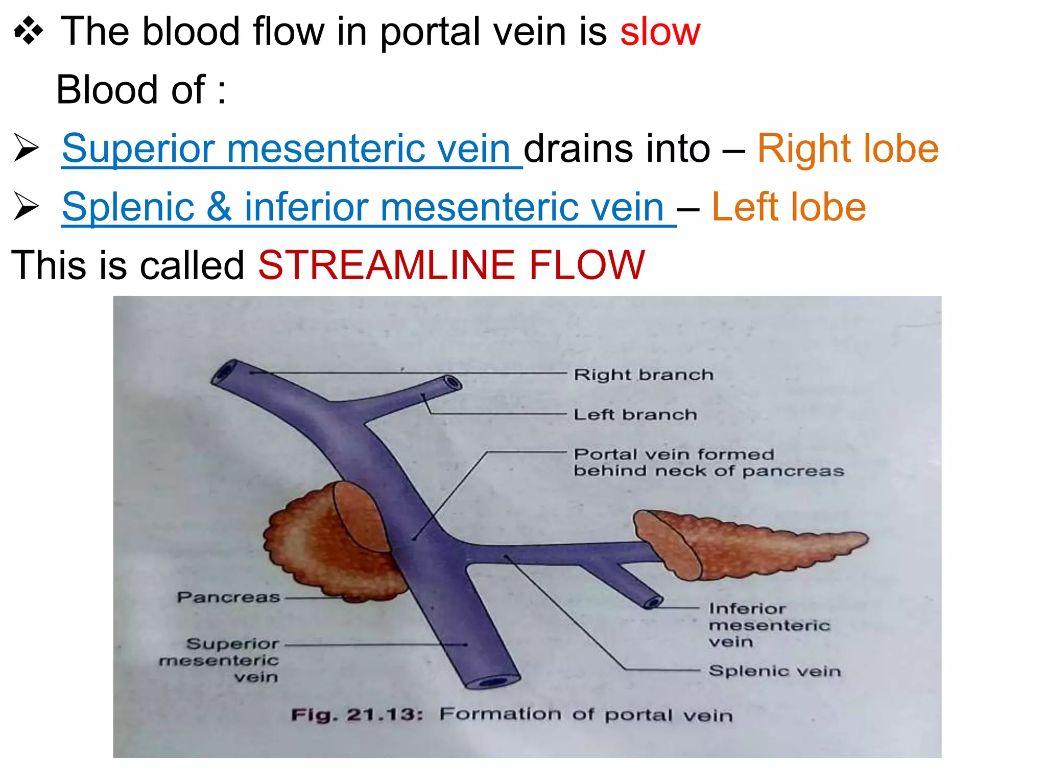 Portal vein & portocaval anastomosis | PPTX