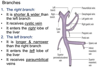 Portal vein & portocaval anastomosis | PPTX