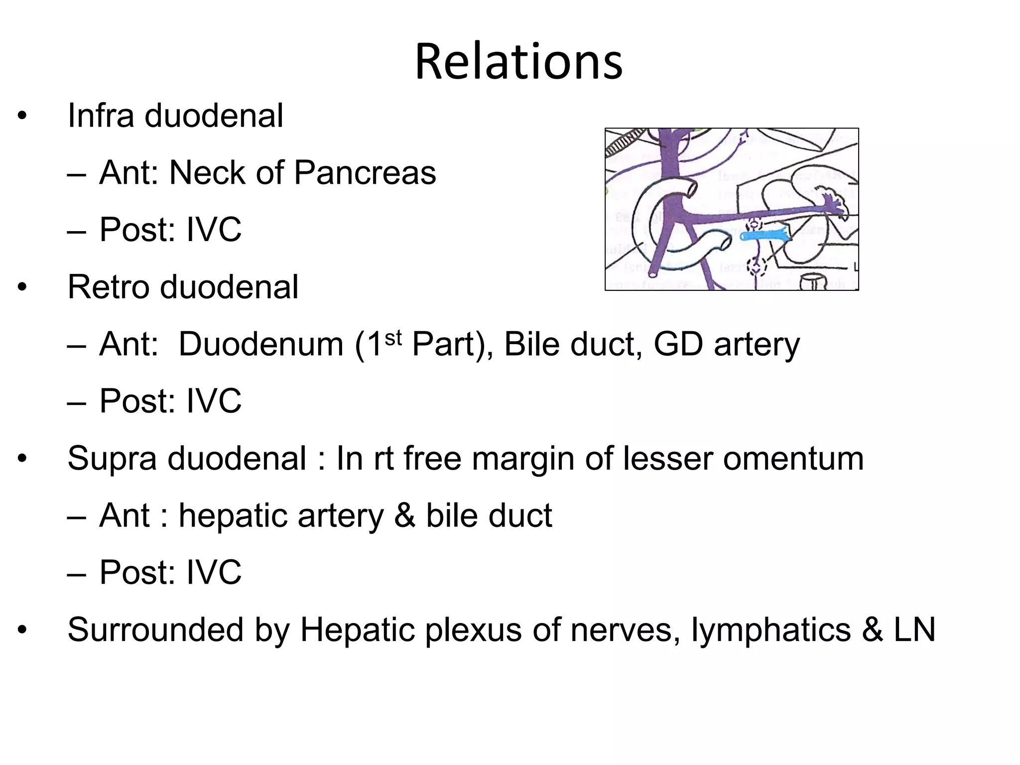 Hepatic Portal vein and portocaval anatomosis | PPTX