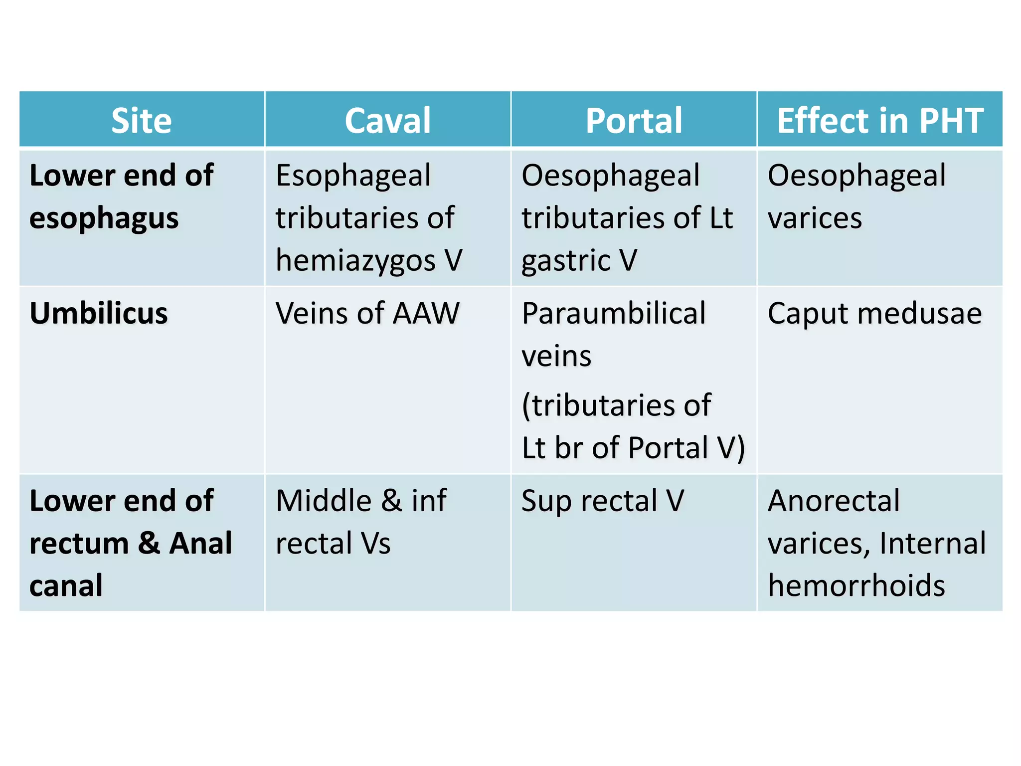 Hepatic Portal vein and portocaval anatomosis | PPTX