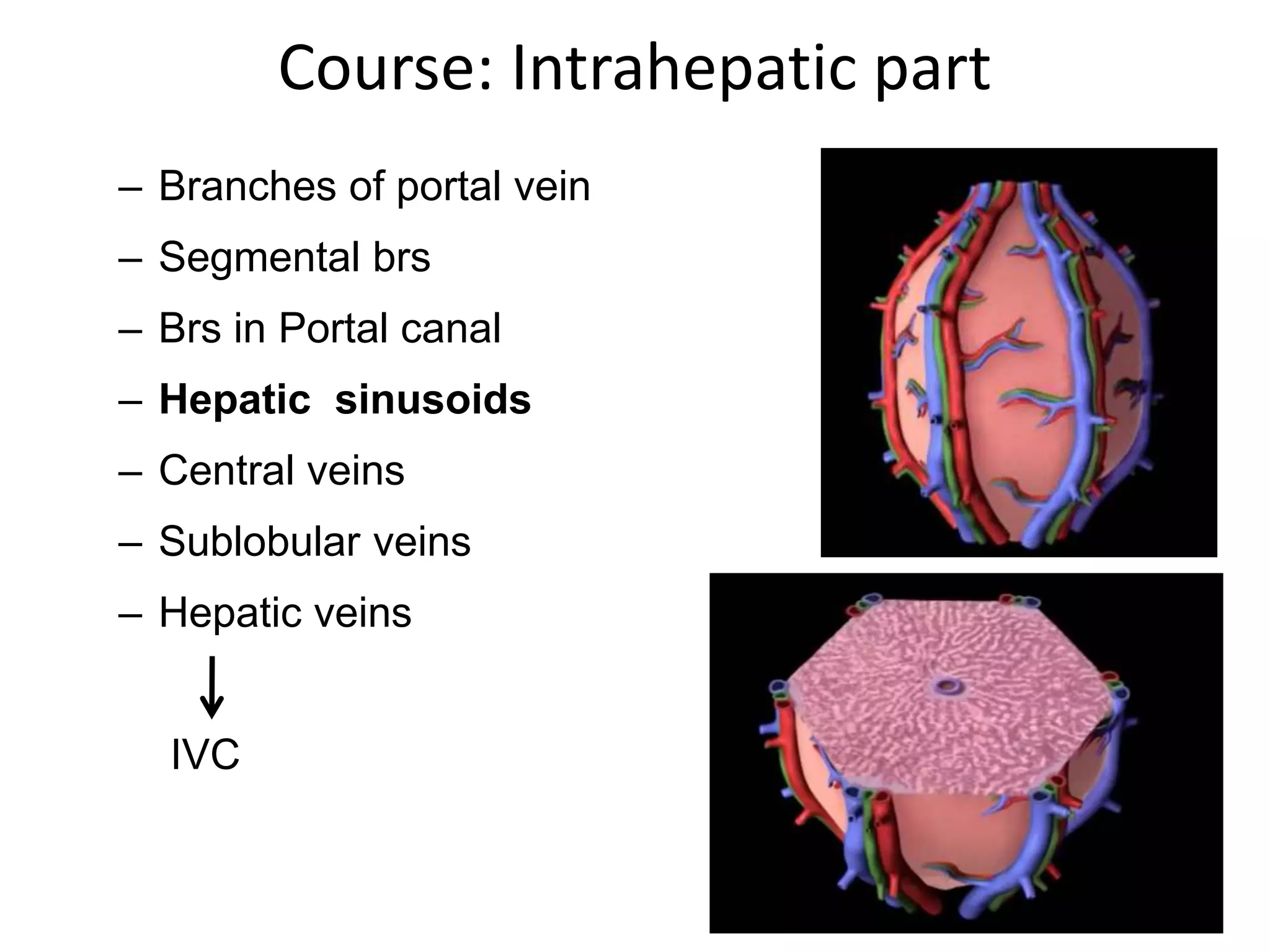 Hepatic Portal vein and portocaval anatomosis | PPTX
