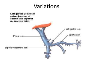 Hepatic Portal vein and portocaval anatomosis | PPTX