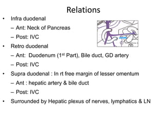Hepatic Portal vein and portocaval anatomosis | PPTX