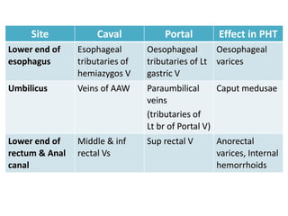 Hepatic Portal vein and portocaval anatomosis | PPTX