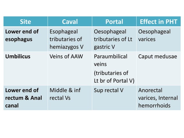 Hepatic Portal vein and portocaval anatomosis | PPTX | Digestive ...